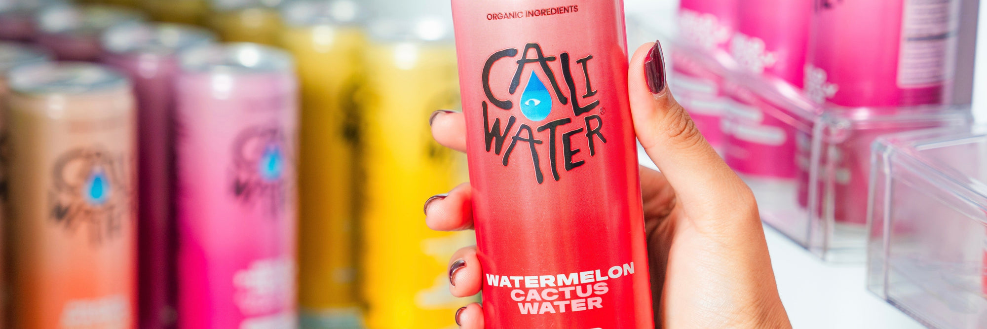 The Best Drinks to Support Your Immune System This Season – Caliwater