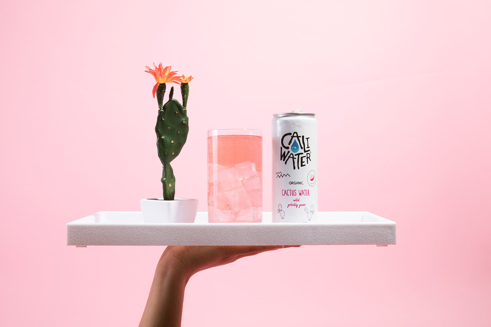 Cactus Water Recipes | Caliwater