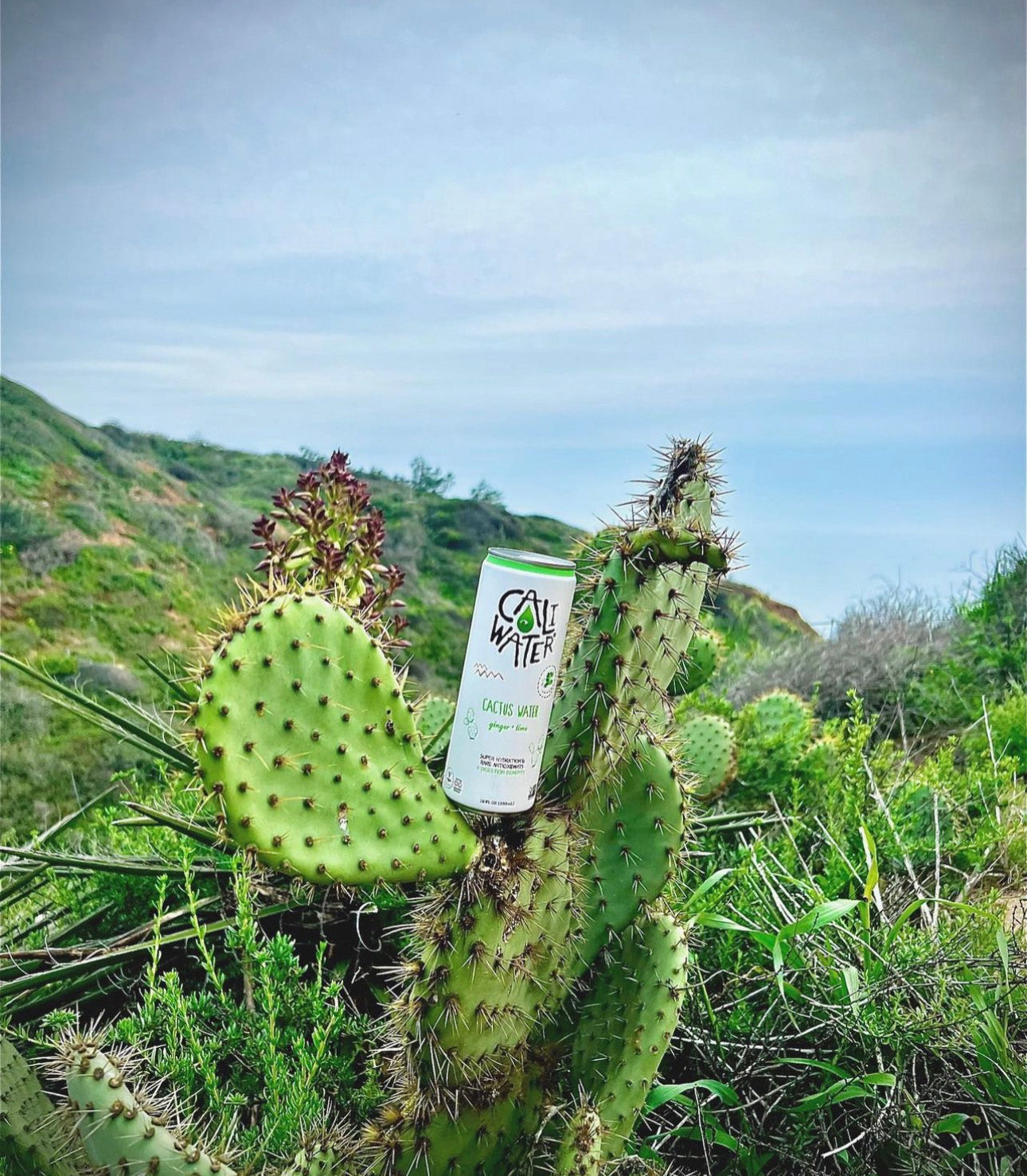 5 Reasons to Stay Hydrated with Caliwater